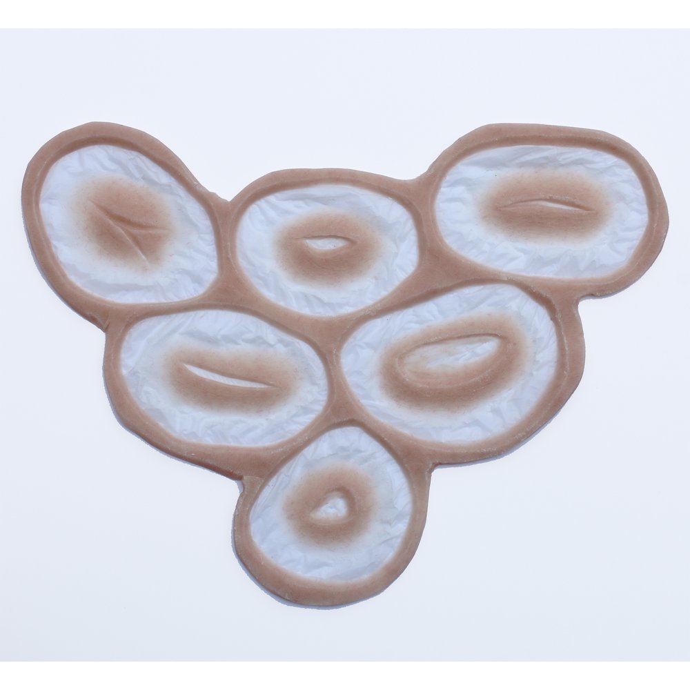 Jess FX - 6-Piece Set of Small Injury Cut Prosthetics | Titanic FX