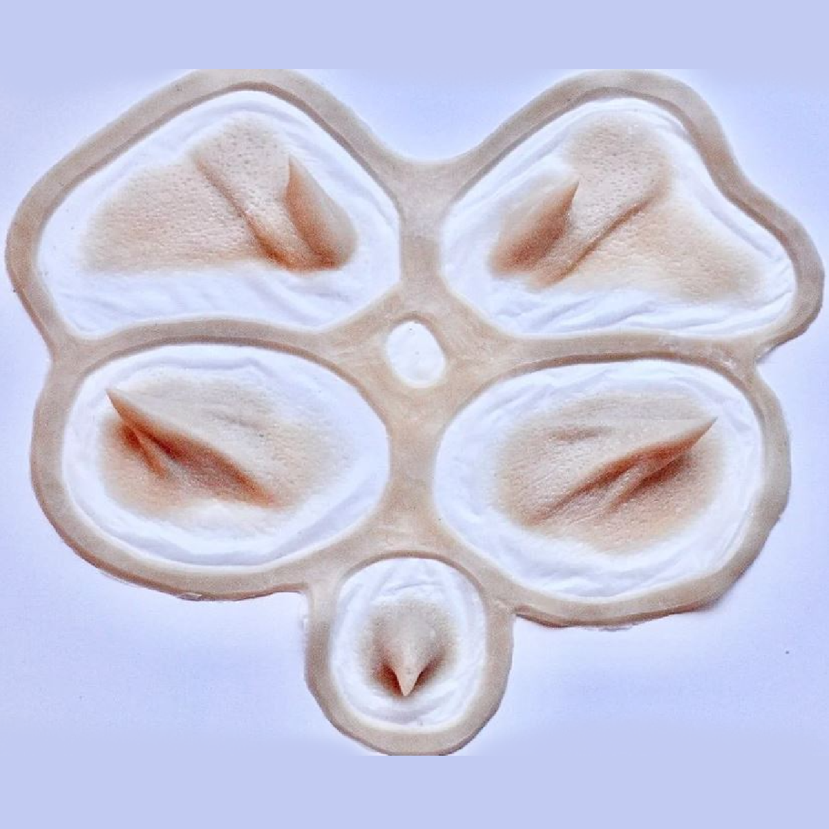 Obsidian FX - Alien Cheekbones, Forehead and Chin Silicone Prosthetics ...