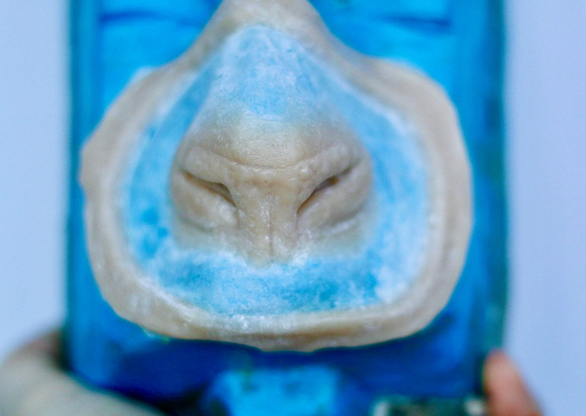 Obsidian FX - Cat Nose Silicone Prosthetic – Titanic FX
