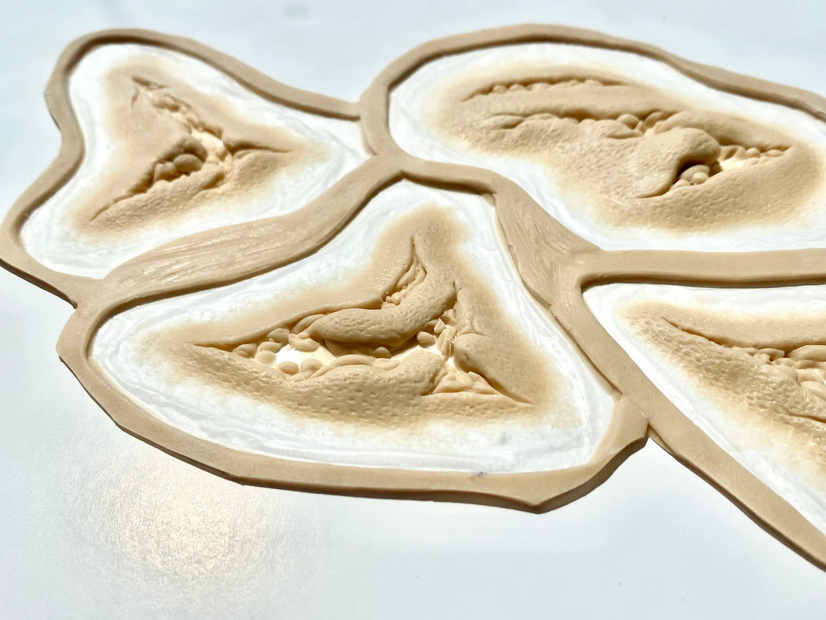 Obsidian FX - Cut / Open Wounds Silicone Prosthetic Set (5 piece ...