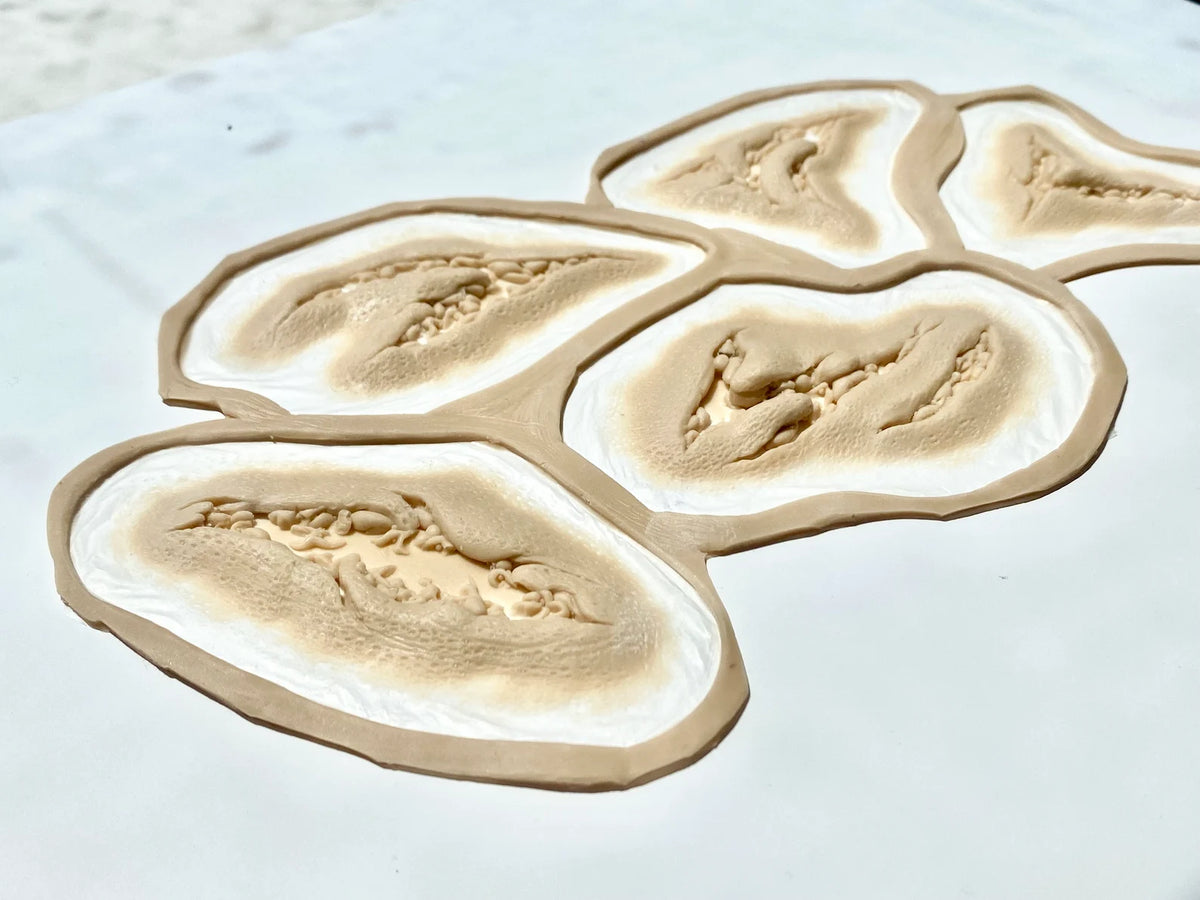 Obsidian FX - Cut / Open Wounds Silicone Prosthetic Set (5 piece ...