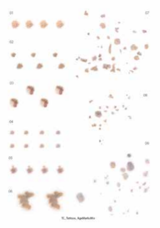 Twilight Creations - Temporary Tattoo Transfers - Age Marks Mix ...