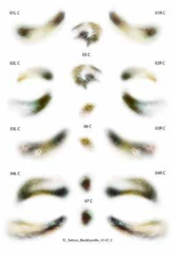 Twilight Creations - Temporary Tattoo Transfers - Black Eye Mix - even ...