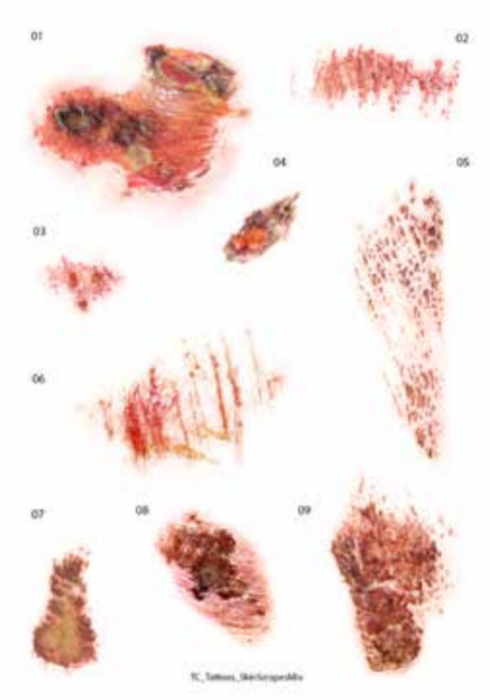 Twilight Creations - Temporary Tattoo Transfers - Skin Scrapes Mix ...